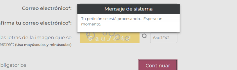 ¿cómo obtener tu hoja rosa del IMSS? y su importancia